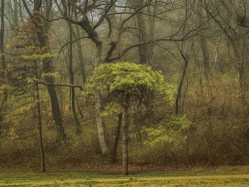 Roanoke Park - Kansas City, MO